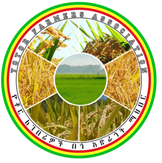 Yotor Farmers Association – Yotor Farmers Association